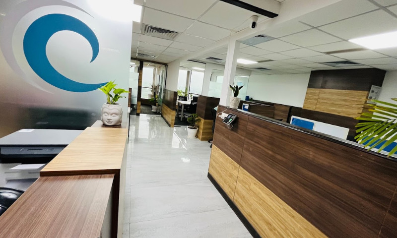 Techsyn Reviews and Clients | DesignRush