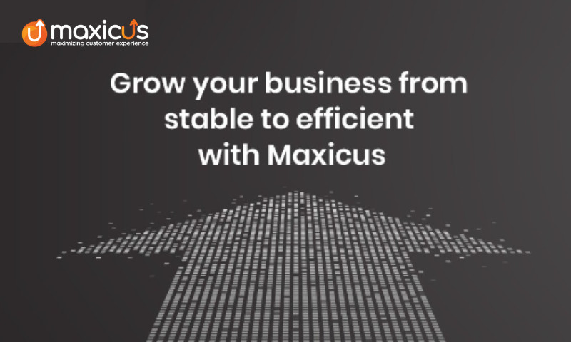 Maxicus Reviews and Clients | DesignRush