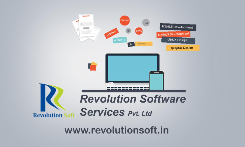 Revolution Software Services Reviews and Clients | DesignRush