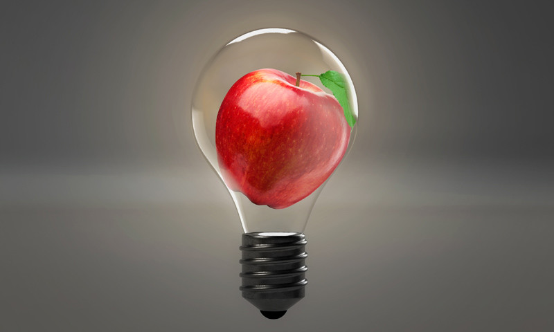 Newton Design Reviews | View Portfolios | DesignRush