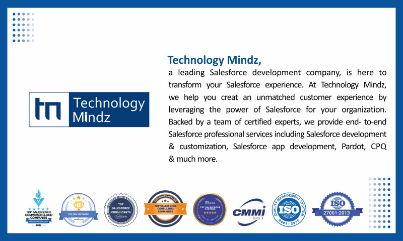 Technology Mindz Reviews | View Portfolios | DesignRush