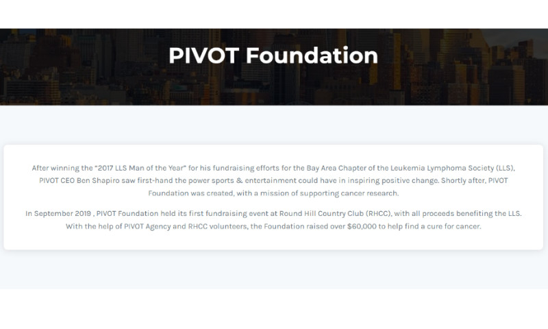 PIVOT Reviews | View Portfolios | DesignRush