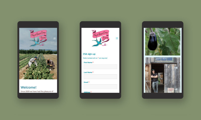 Liz Moran Design Reviews and Clients | DesignRush