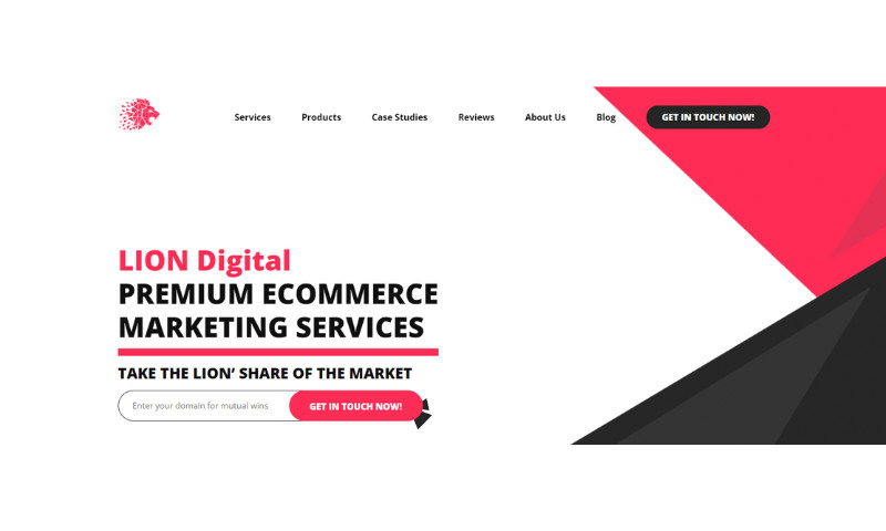 LION Digital Reviews | View Portfolios | DesignRush