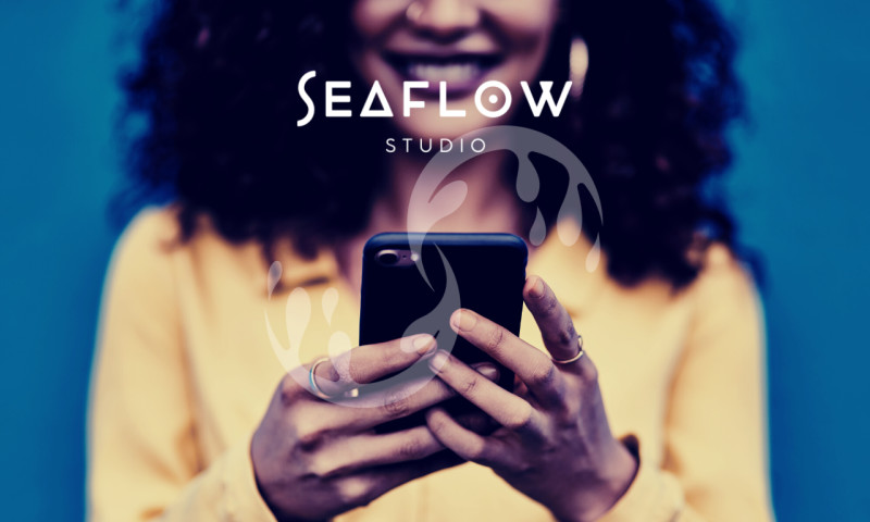 SeaFlow Studio Reviews | View Portfolios | DesignRush
