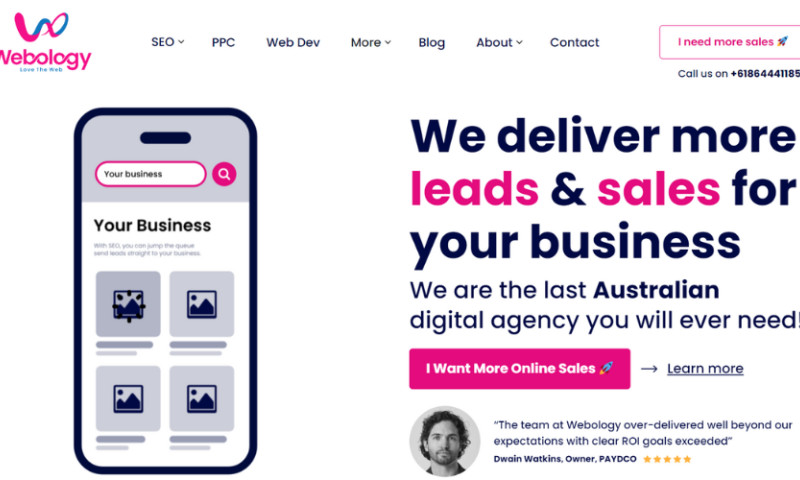 Webology World Reviews and Clients | DesignRush