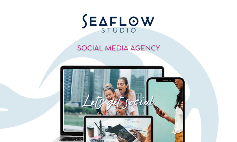 SeaFlow Studio Reviews | View Portfolios | DesignRush