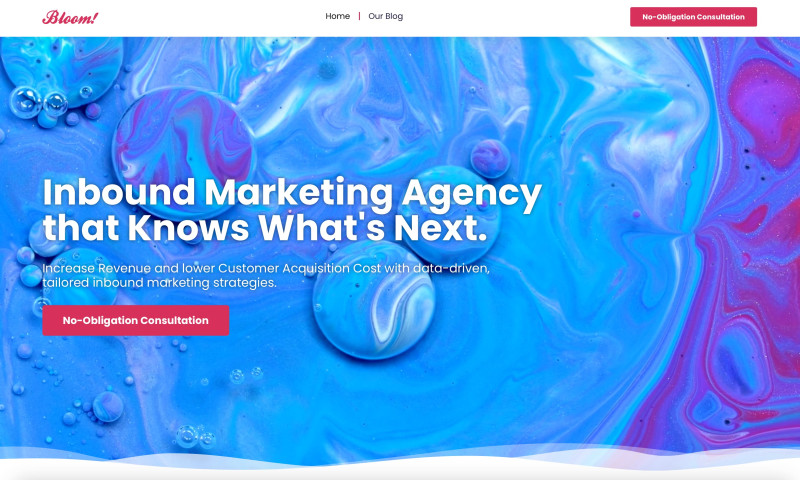 The Digital Bloom Reviews | View Portfolios | DesignRush