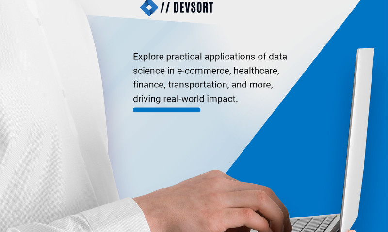 Devsort Services Reviews | View Portfolios | DesignRush