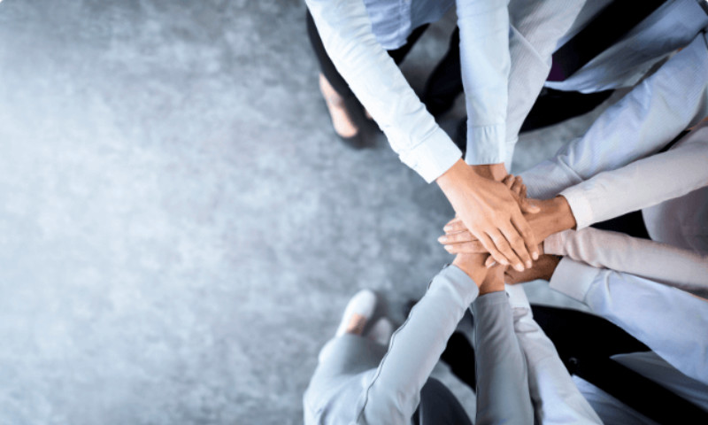 Veltris Reviews and Clients | DesignRush