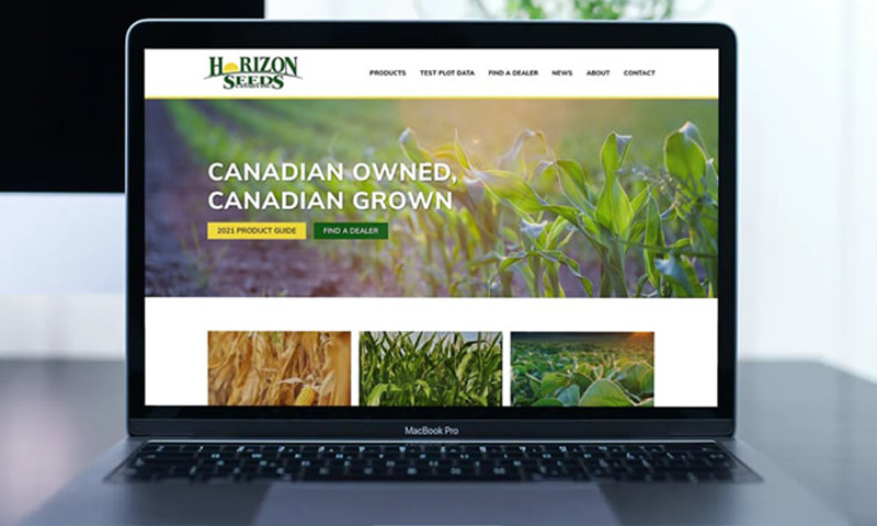 Evergreen Digital Marketing Inc Reviews and Clients | DesignRush