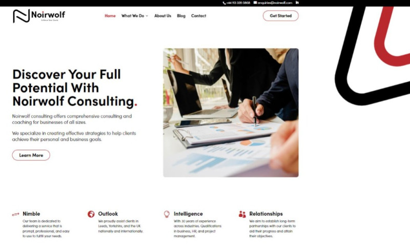 Noirwolf Consulting Reviews and Clients | DesignRush