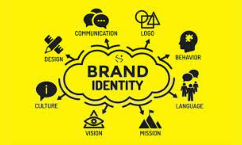 WANT Branding Reviews and Clients | DesignRush