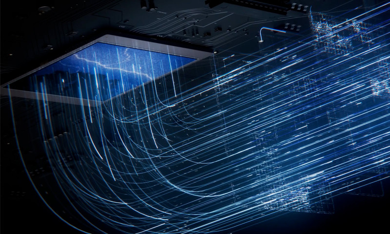 MacWell Reviews and Clients | DesignRush