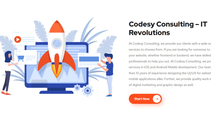 Codesy Consulting Reviews and Clients | DesignRush