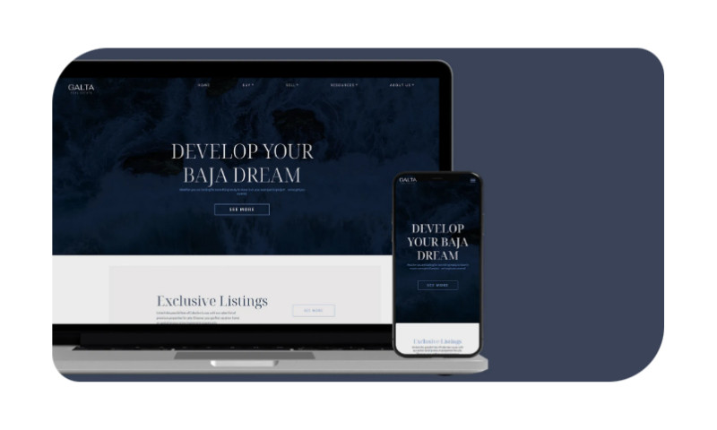 Webshau Reviews and Clients | DesignRush