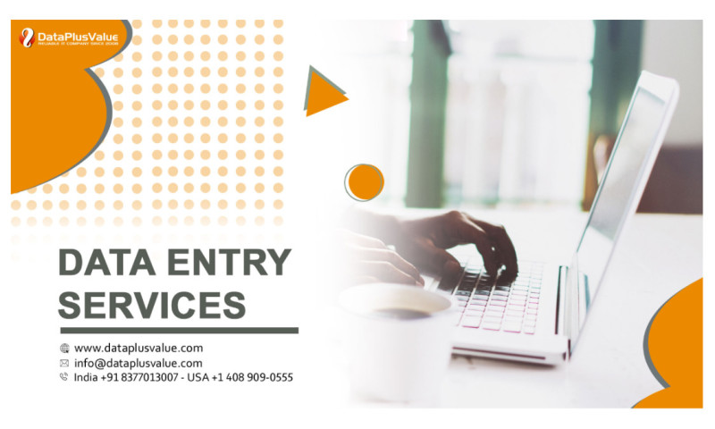 DataPlusValue Reviews | View Portfolios | DesignRush