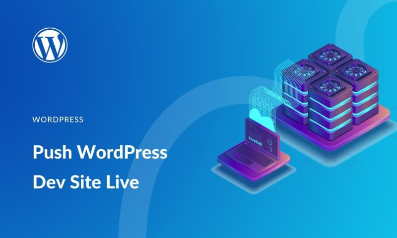 WBM-MEDIA Reviews and Clients | DesignRush