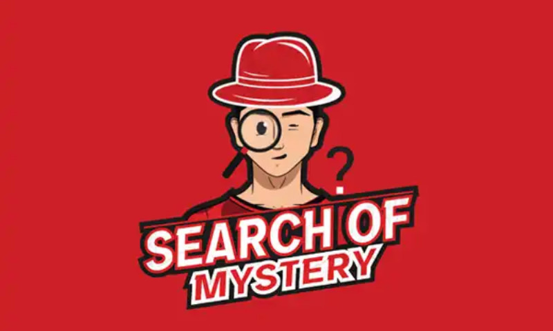 Binary Design Hub Reviews | View Portfolios | DesignRush