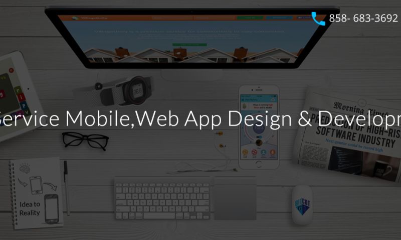 BitCot Reviews | View Portfolios | DesignRush