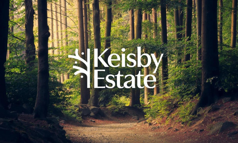 Root Studio Reviews and Clients | DesignRush