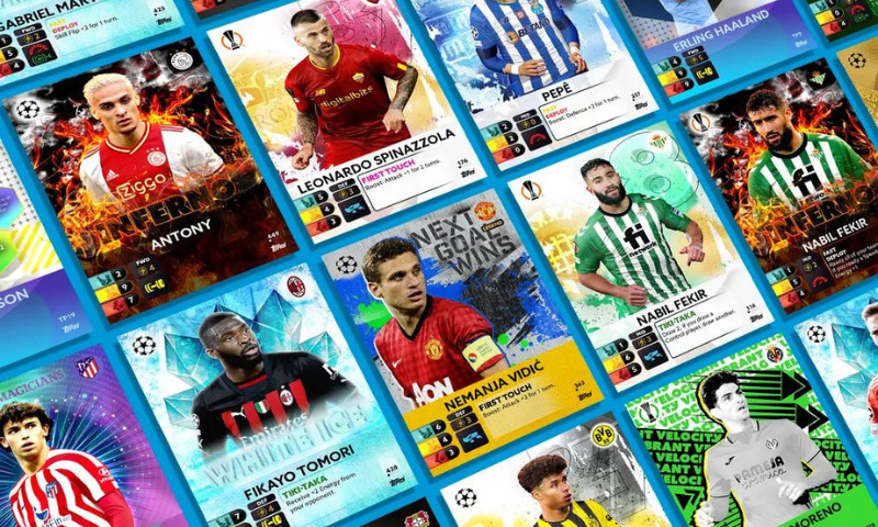 Wow Me Design Reviews | View Portfolios | DesignRush