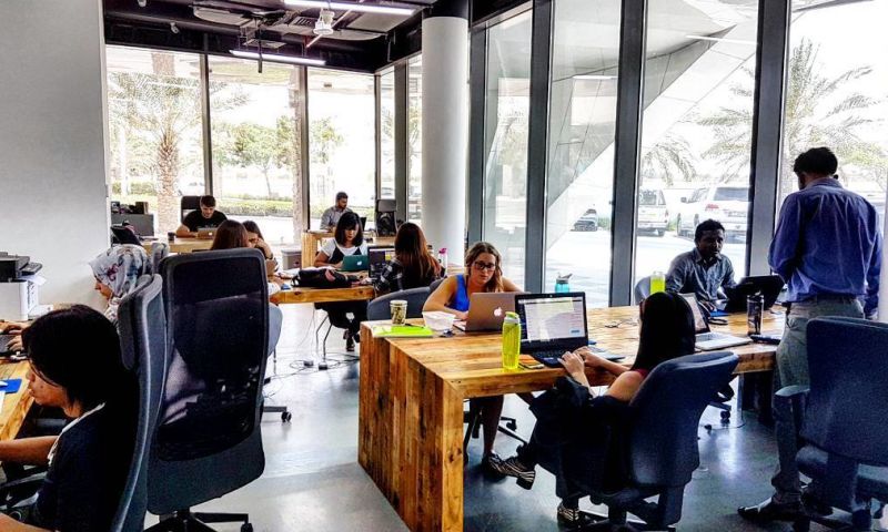 Digital Farm Reviews and Clients | DesignRush