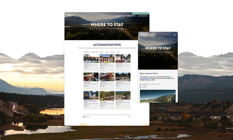 HAWK Design & Creative Reviews | View Portfolios | DesignRush