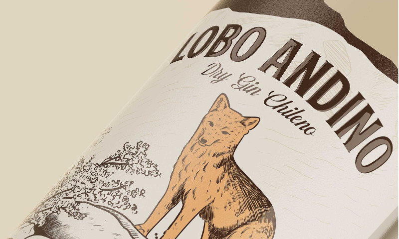 Meison Studio Reviews | View Portfolios | DesignRush