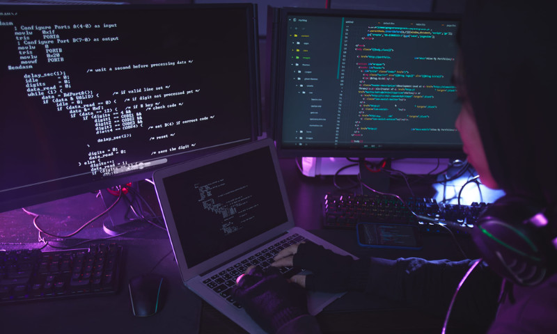 The Prime Apes Reviews | View Portfolios | DesignRush