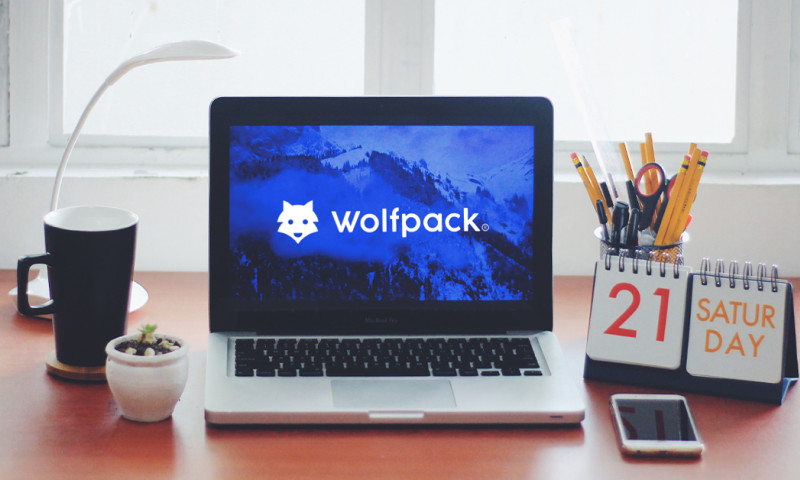 Wolfpack Reviews | View Portfolios | DesignRush