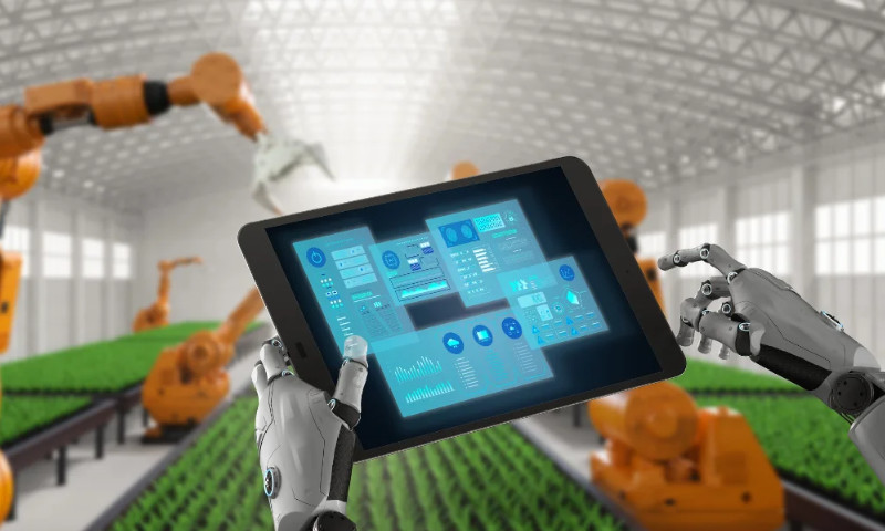 Srushty Reviews and Clients | DesignRush