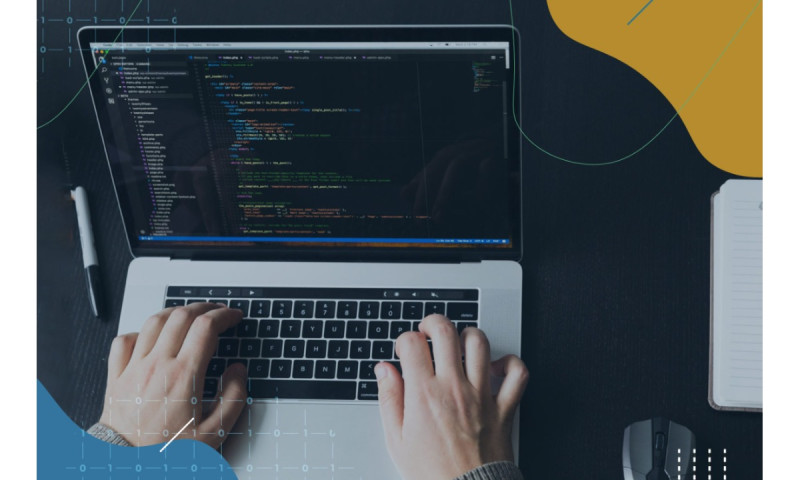 The Digital WOW Reviews and Clients | DesignRush