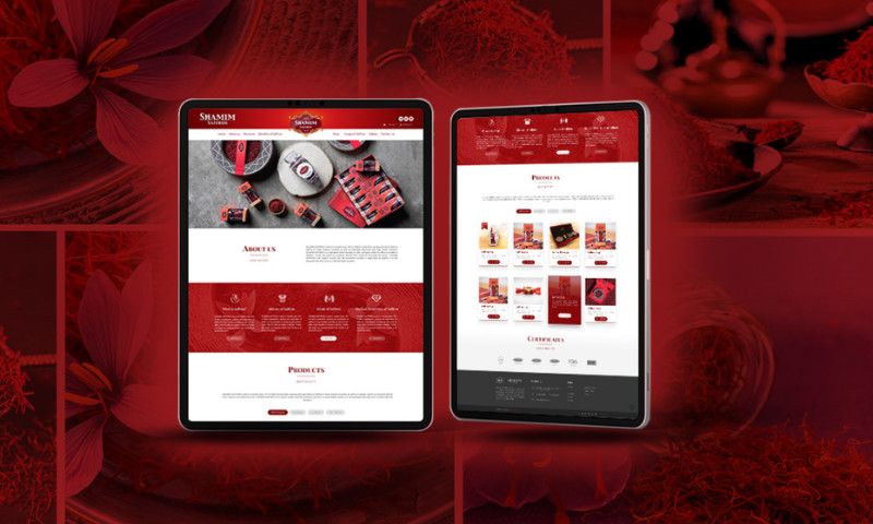 MyTheme Design Group Reviews | View Portfolios | DesignRush