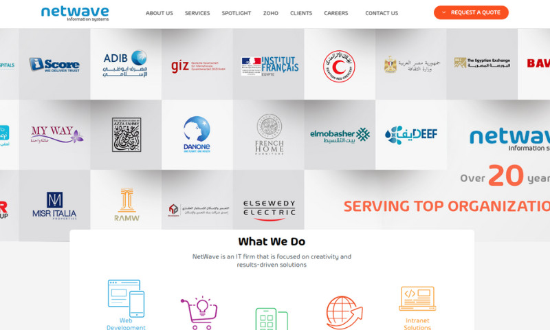 Netwave Information Systems Reviews and Clients | DesignRush