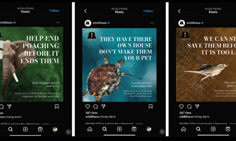 CrownForge Creations Reviews and Clients | DesignRush