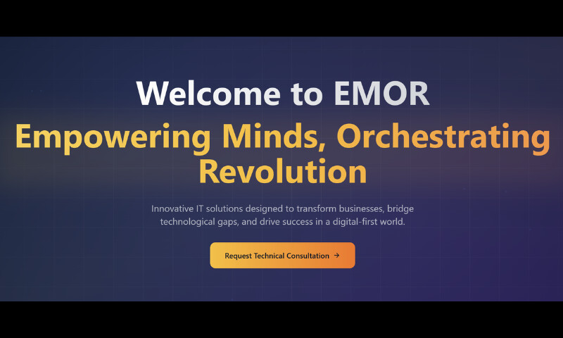 Emor Reviews And Clients Designrush