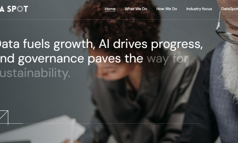 Dataspot Consulting Group Reviews | View Portfolios | DesignRush