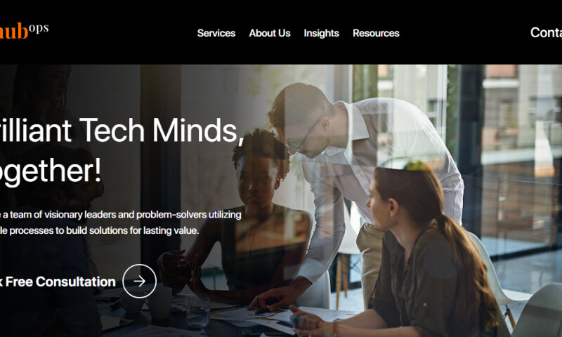 The Hub Ops Reviews | View Portfolios | DesignRush