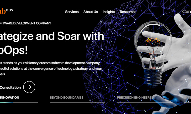 The Hub Ops Reviews | View Portfolios | DesignRush