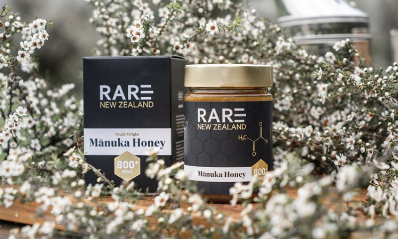 Jess Wilson Design Reviews | View Portfolios | DesignRush