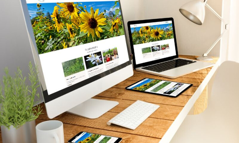 Hatchling Web Reviews | View Portfolios | DesignRush