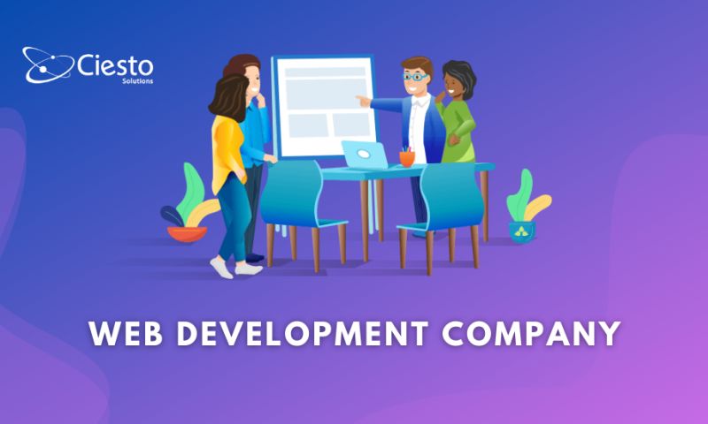 Ciesto Solutions Reviews and Clients | DesignRush