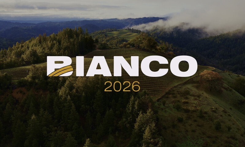 Prophet Agency LLC Reviews and Clients | DesignRush