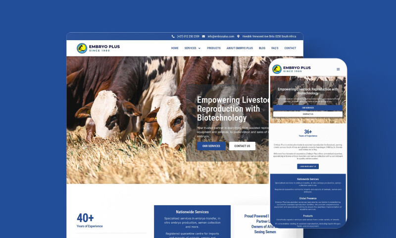 Kijo Digital Reviews and Clients | DesignRush