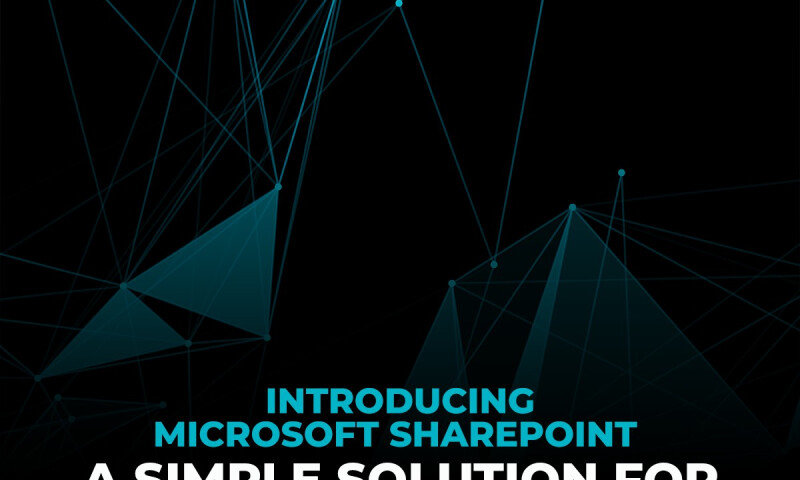 TulipTech LTD Reviews and Clients | DesignRush