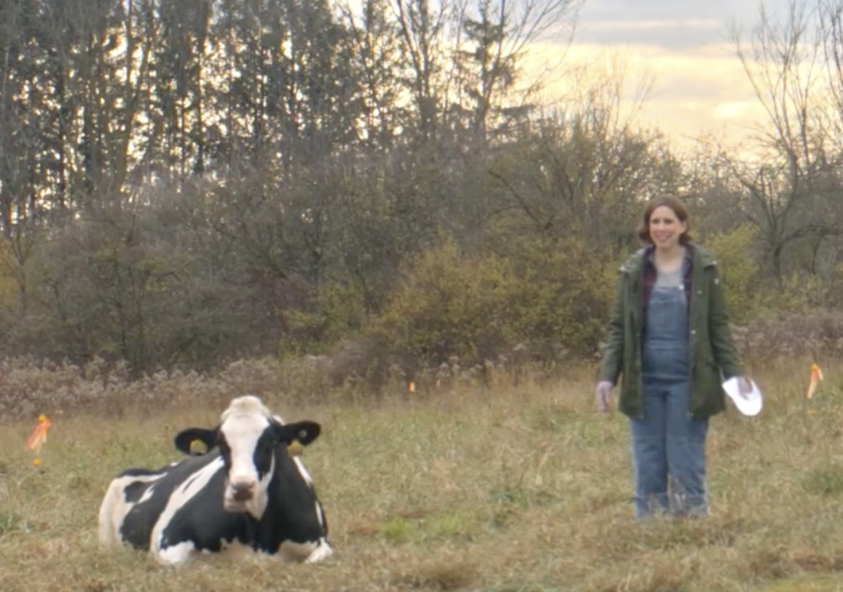 MilkPEP and Gale Launch 'Dairy Diaries' on Roku | DesignRush