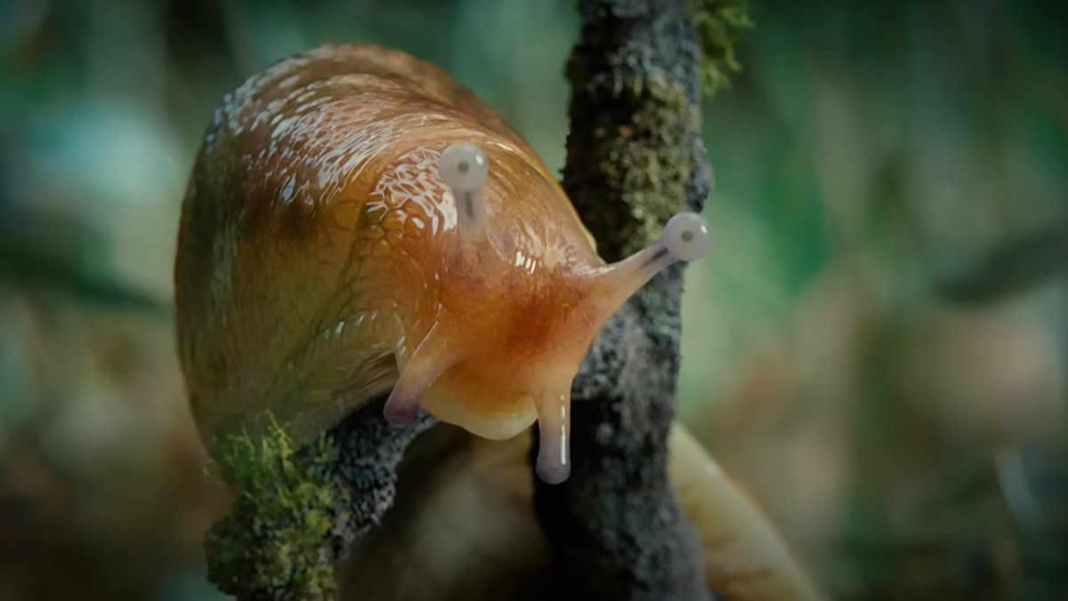 Wealthsimple Launches Heartwarming Spot from Epoch Films | DesignRush