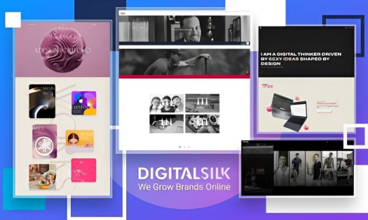 How Digital Silk Boosted eCommerce User Engagement by 50% | DesignRush