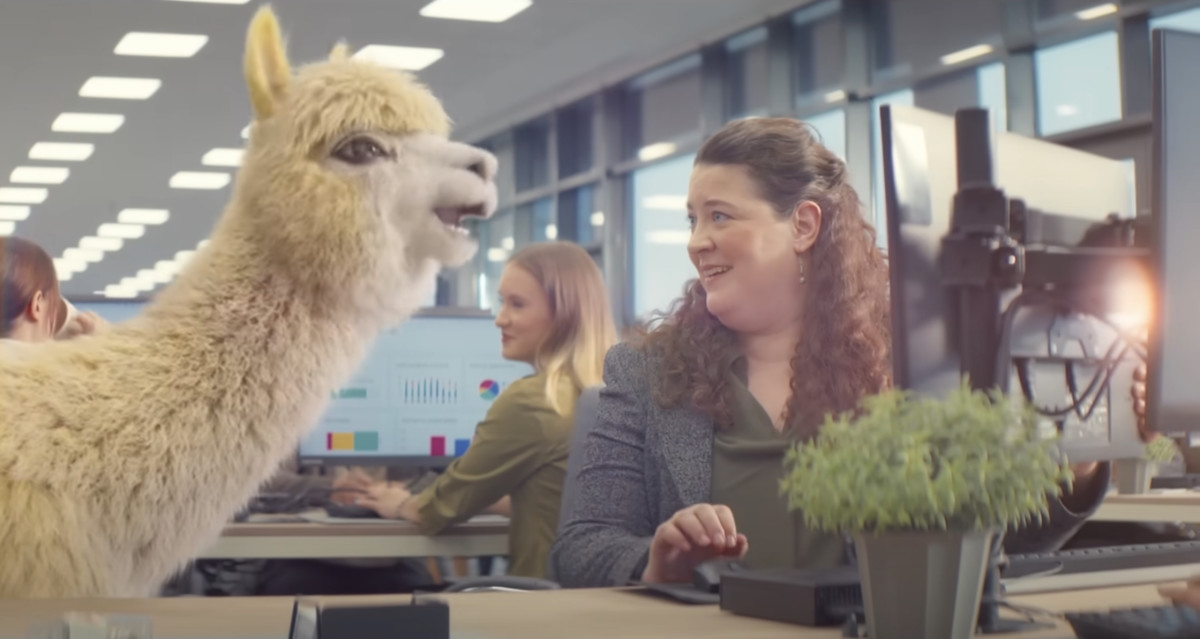 Monday.com’s New Campaign Features Singing Llamas | DesignRush